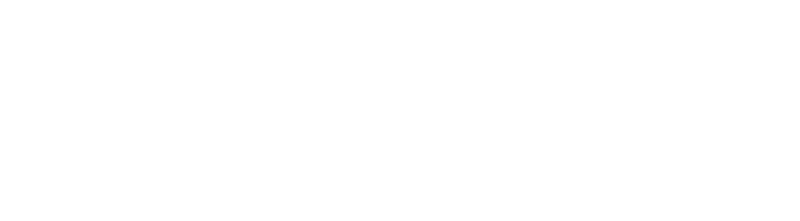 Services - Spectrum Health Systems, Inc.